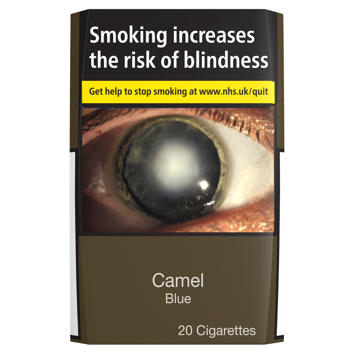 Camel Blue 20 Cigarettes - One Stop