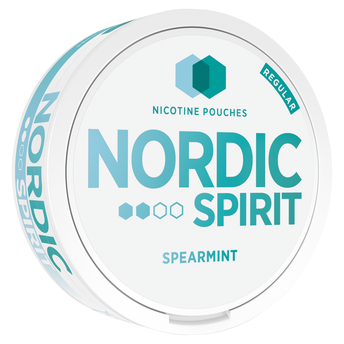 Nordic Spirit Regular Nicotine Pouches Spearmint 6mg - One Stop