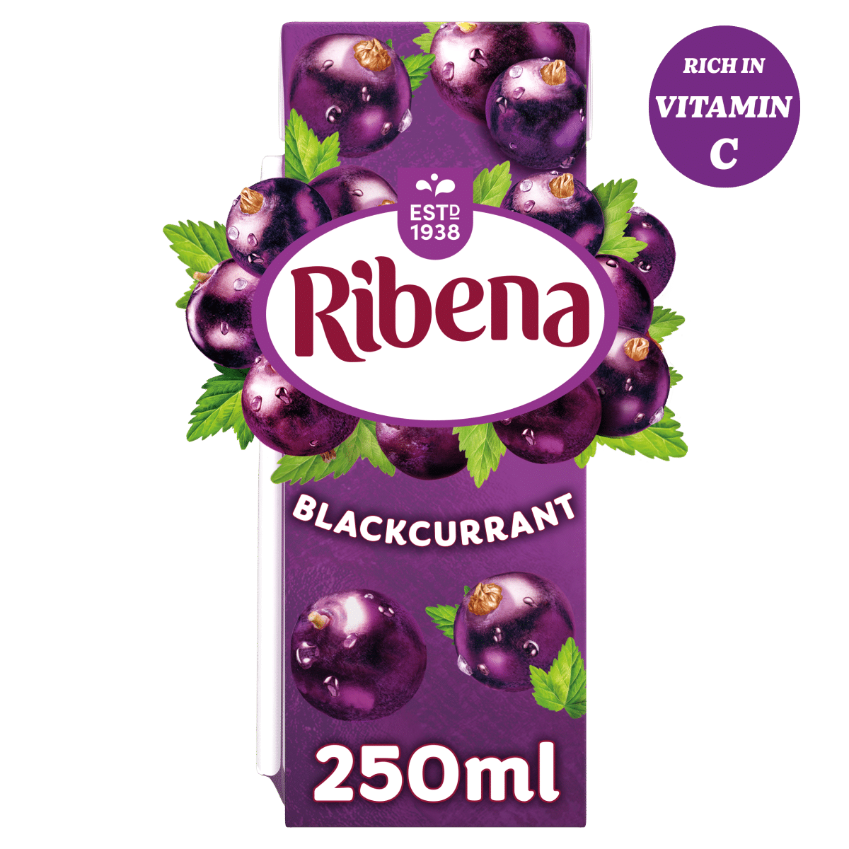 Ribena Blackcurrant Juice Drink Carton 250ml - One Stop